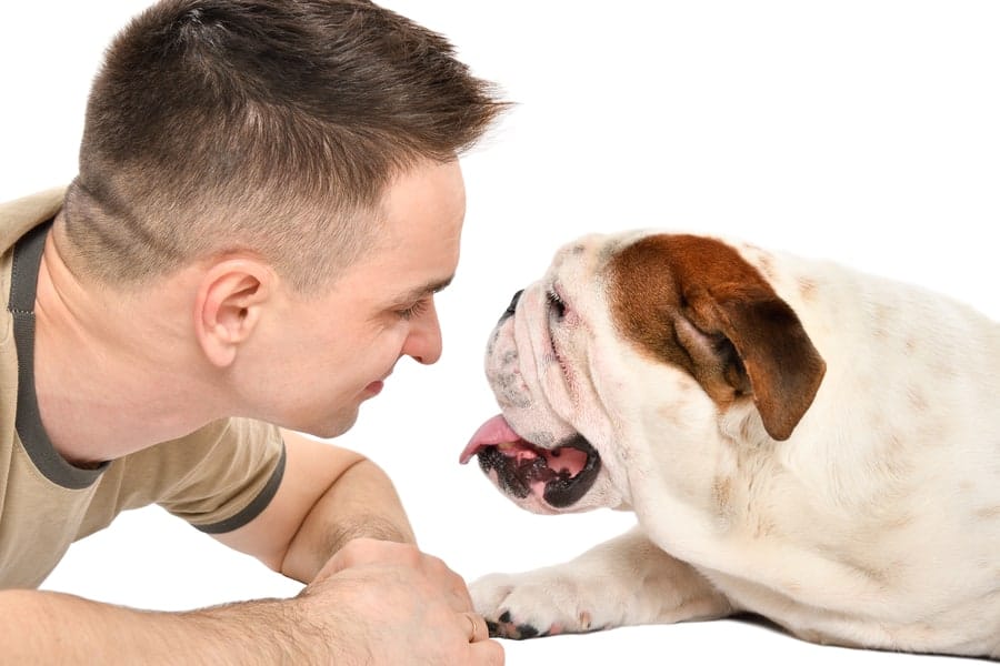 Why Does My Dog Grunt So Much