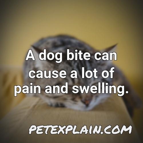 How Soon Do You Need Tetanus Shot After Dog Bite