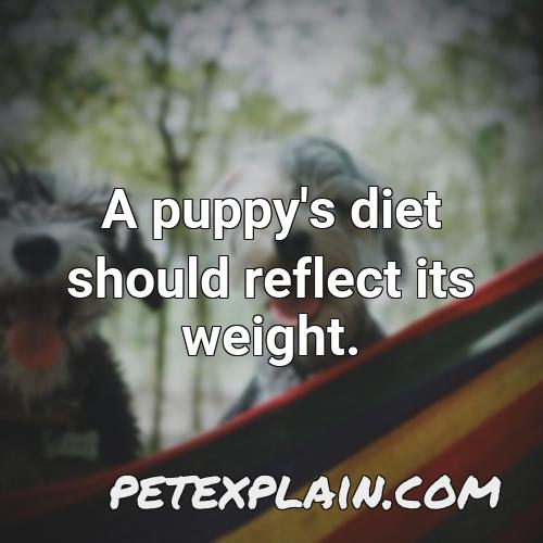 How Many Floating Ribs Do Dogs Have